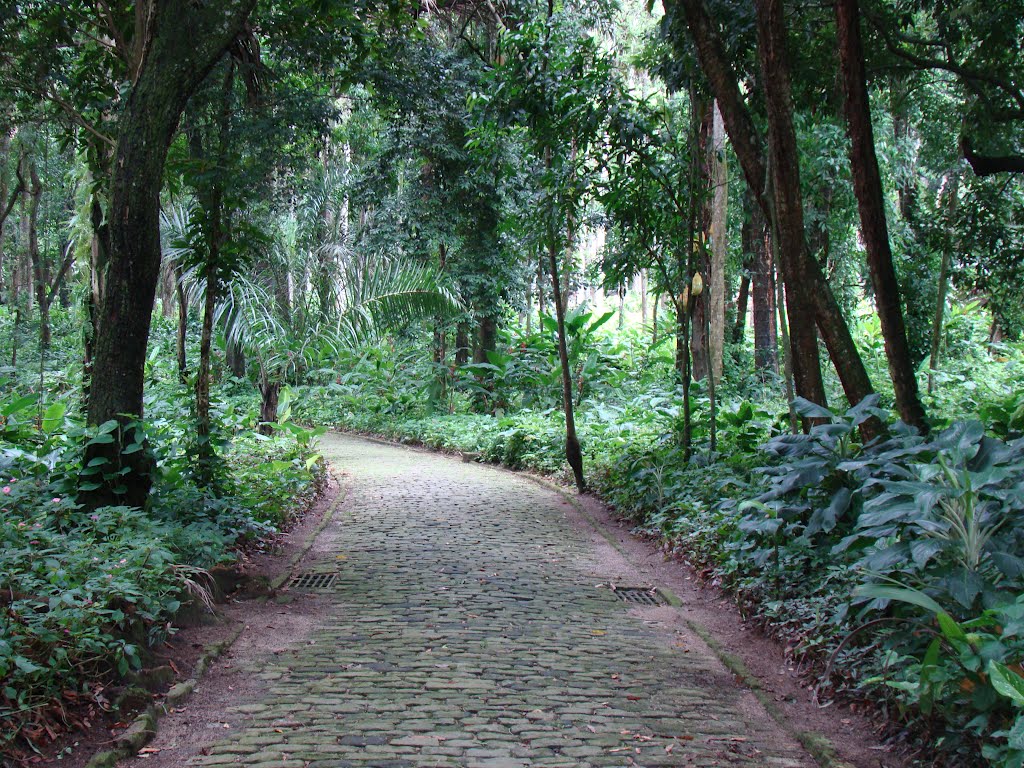 I Love You Rio de Janeiro: Parque Laje